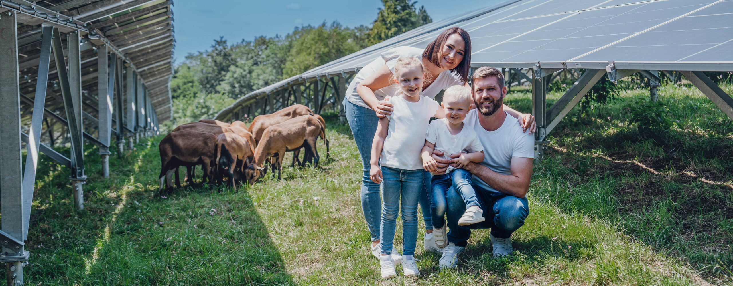 Startseite Redesign – Strom OurPower